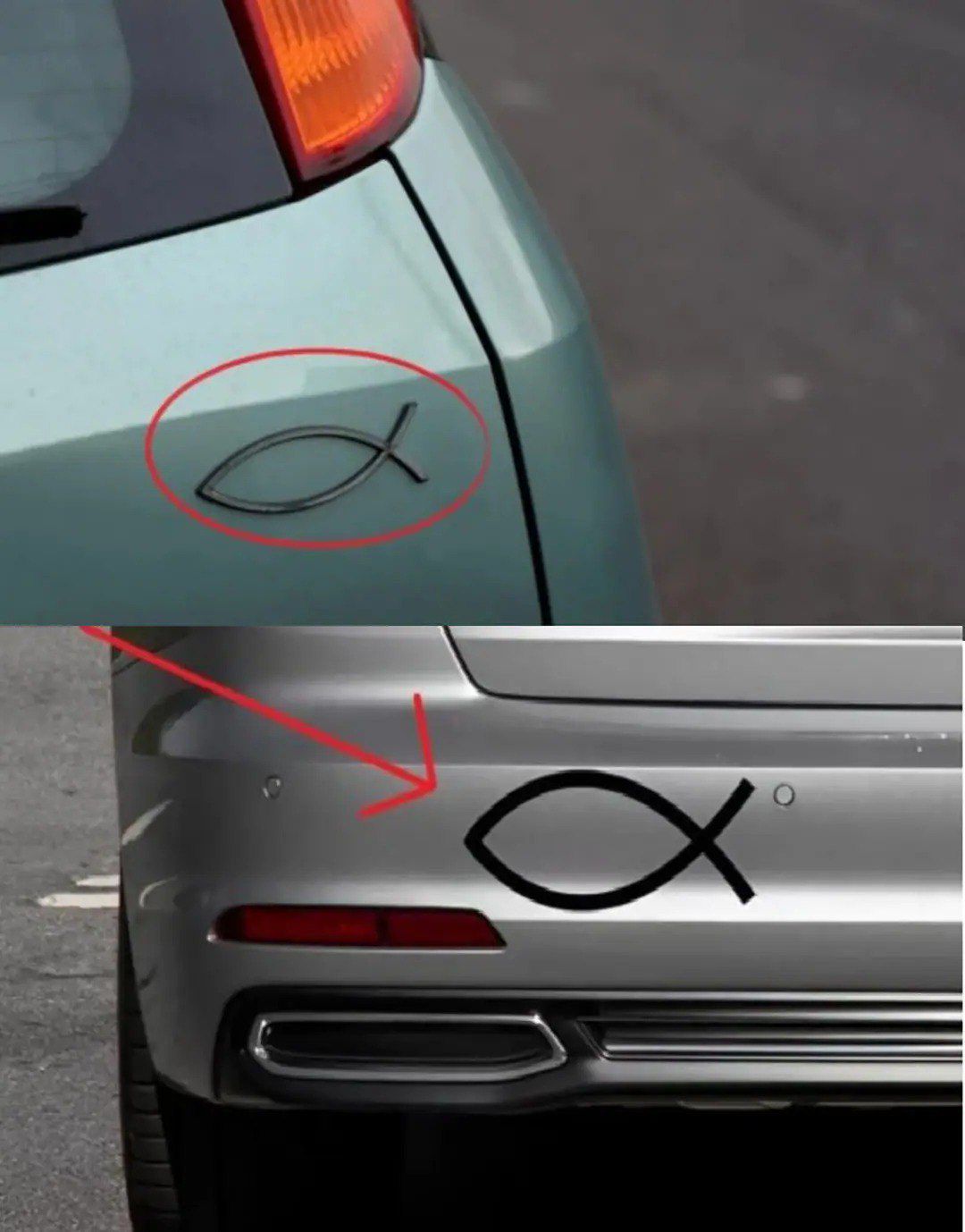 The Meaning Behind the Small Fish Symbol Displayed on Some Cars ...