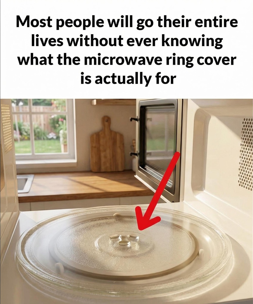 I Discovered Something Unexpected — That Small Ring in Your Microwave ...